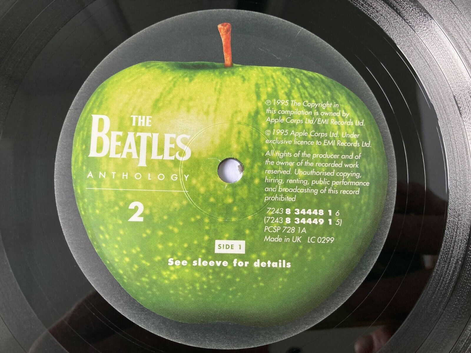 roots-vinyl-guide
