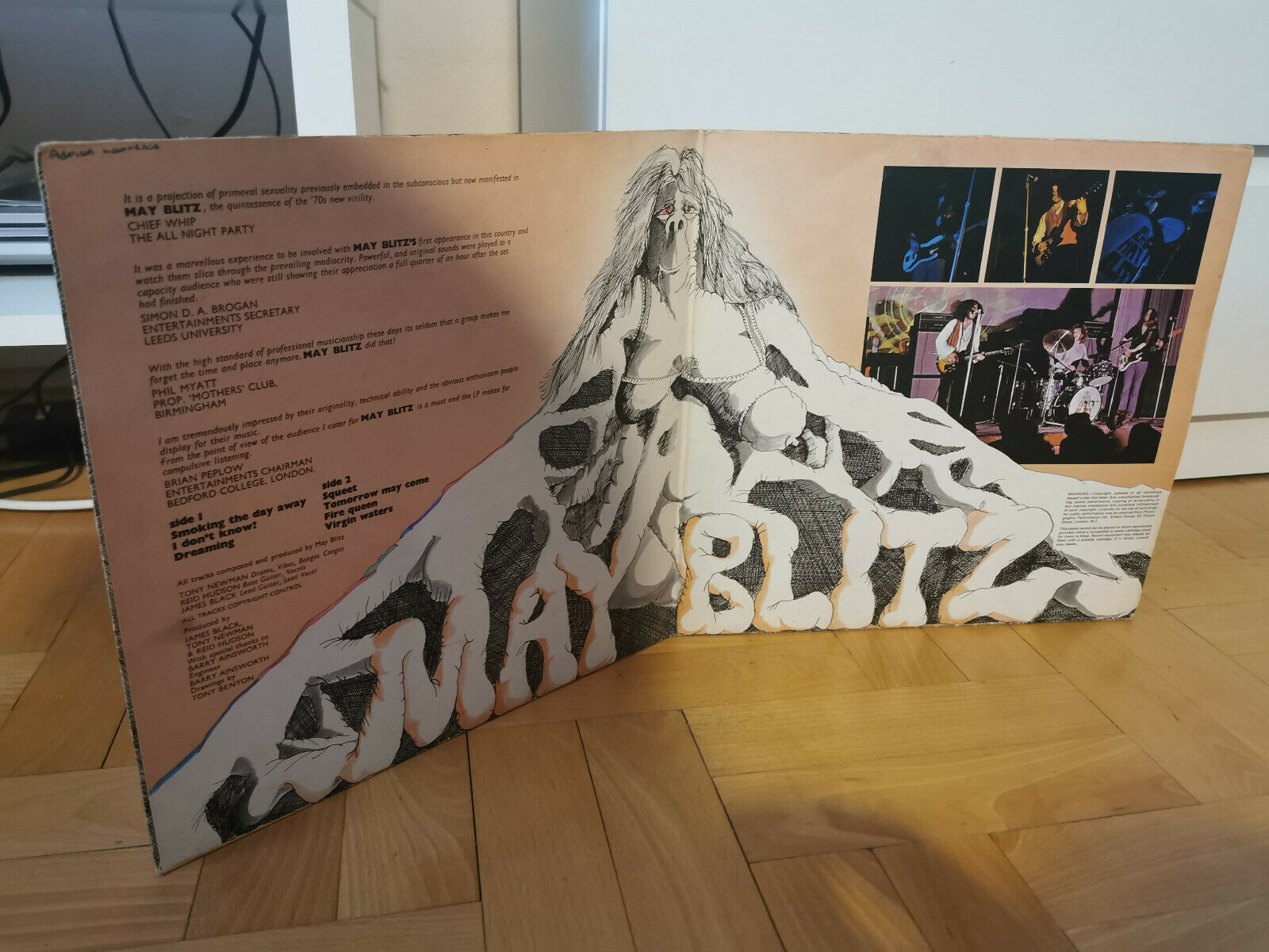 Roots Vinyl Guide