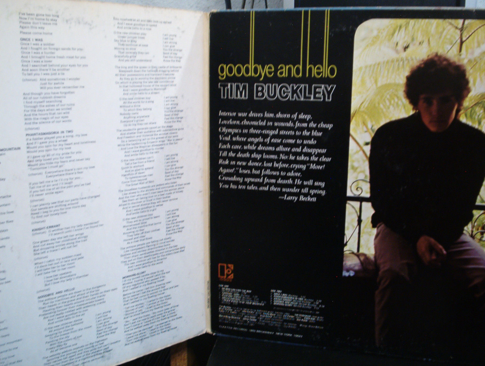 Tim Buckley: Album by Album, note for note appreciation | Page 4 ...